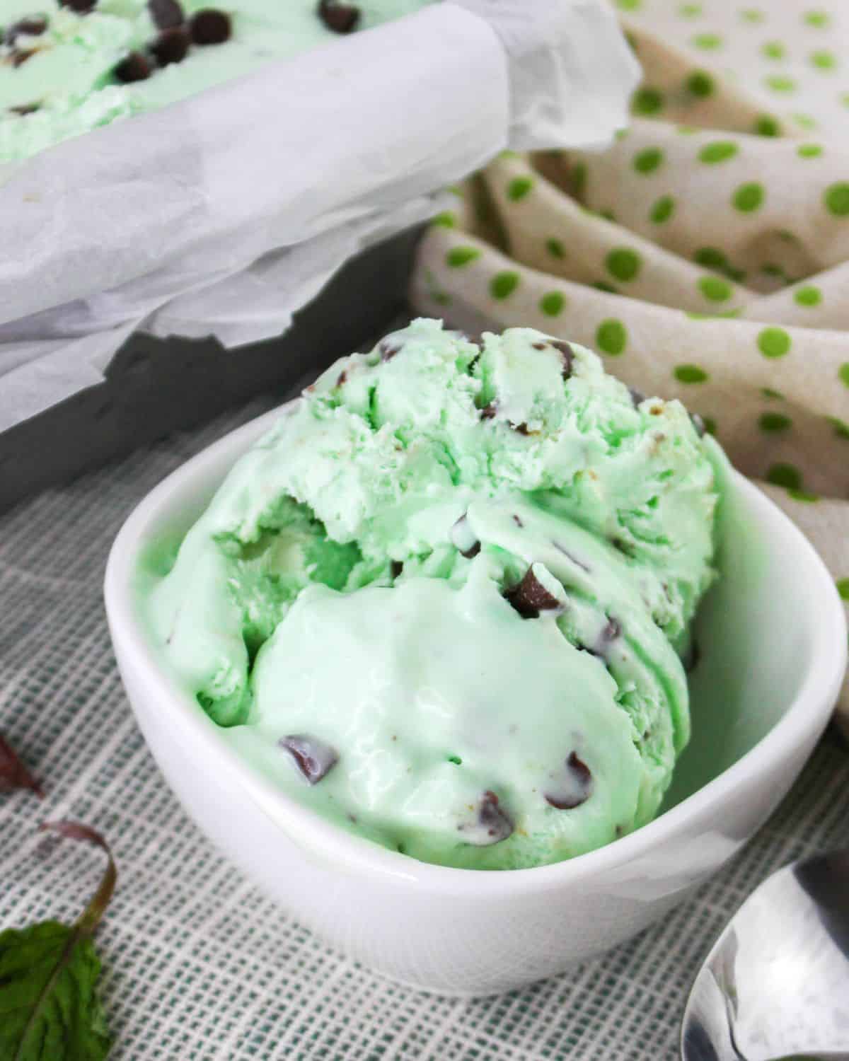 Grasshopper Ice Cream – SharkNinja Singapore