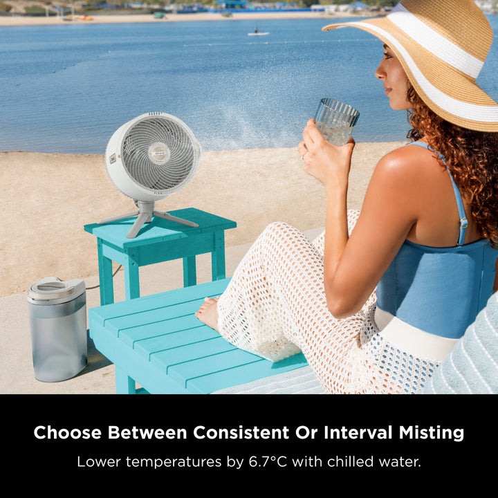Shark FlexBreeze™ Pro Mist Indoor & Outdoor Fan With Water Tank - FA30 ...